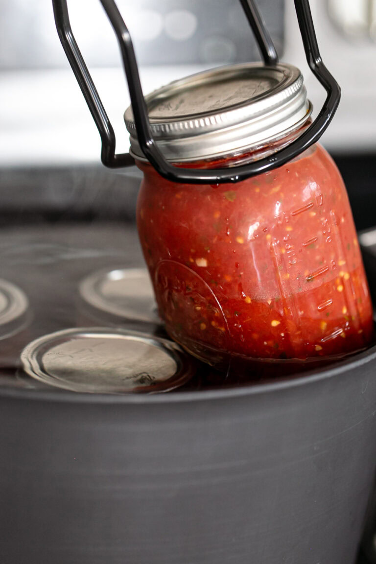 Garden Fresh Restaurant Style Canned Salsa - Healthy Little Vittles