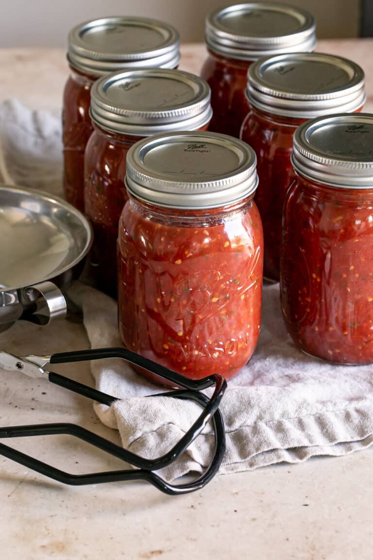 Garden Fresh Restaurant Style Canned Salsa - Healthy Little Vittles